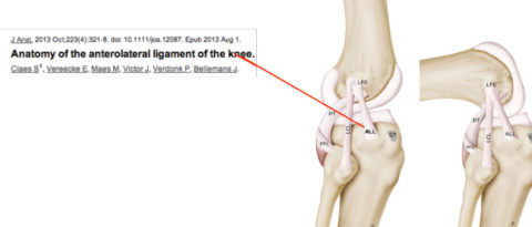 L’entorse grave du genou : Rupture du LCA et ligamentoplastie - IMCS ...